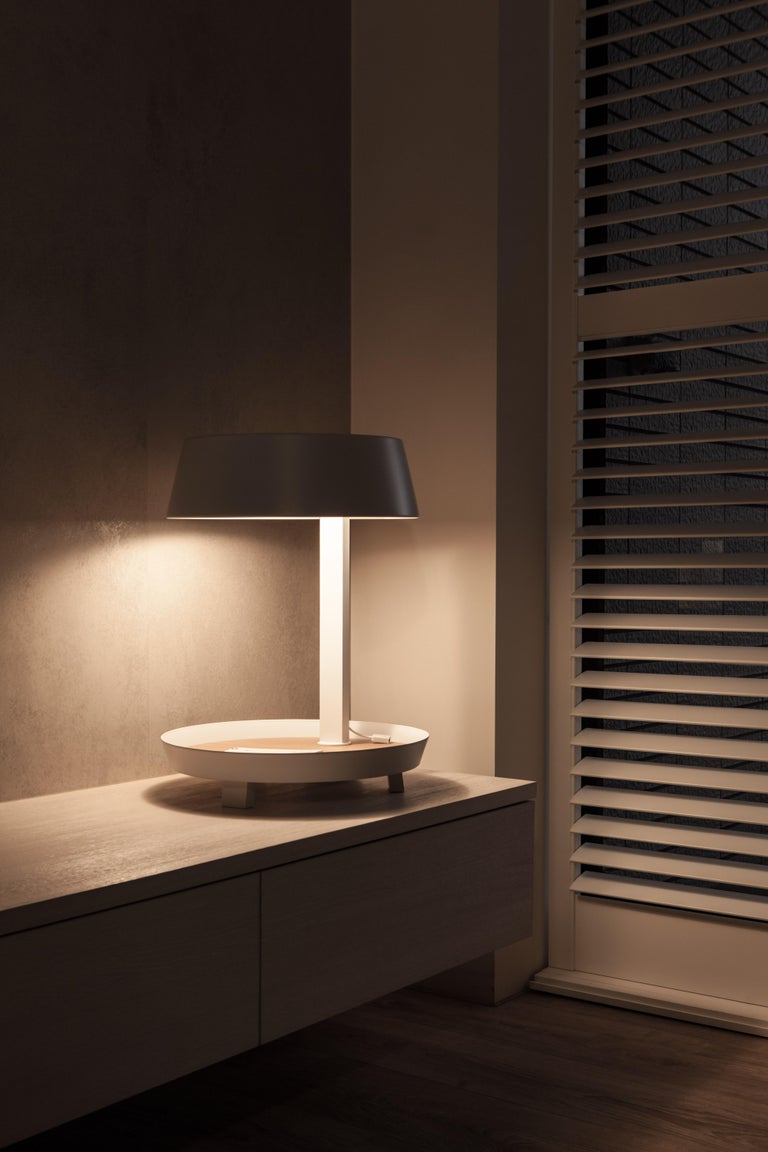 Carry Table Lamp For Sale at 1stDibs