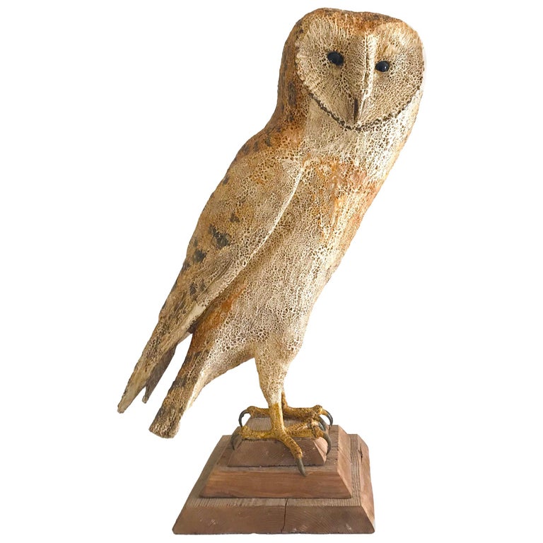 Carved and Painted Barn Owl at 1stDibs