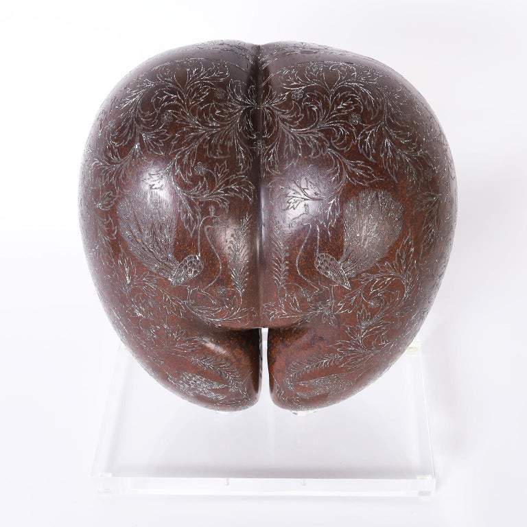 Carved and Silvered Coco de Mer on a Lucite Stand at 1stDibs