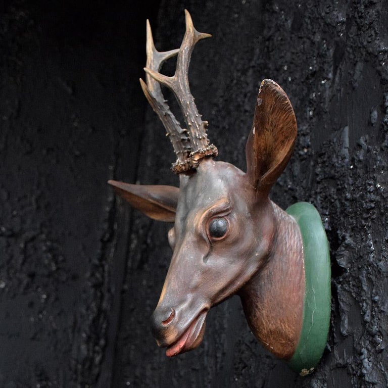 Carved Austrian Roe Deer Heads, circa 1880 at 1stDibs