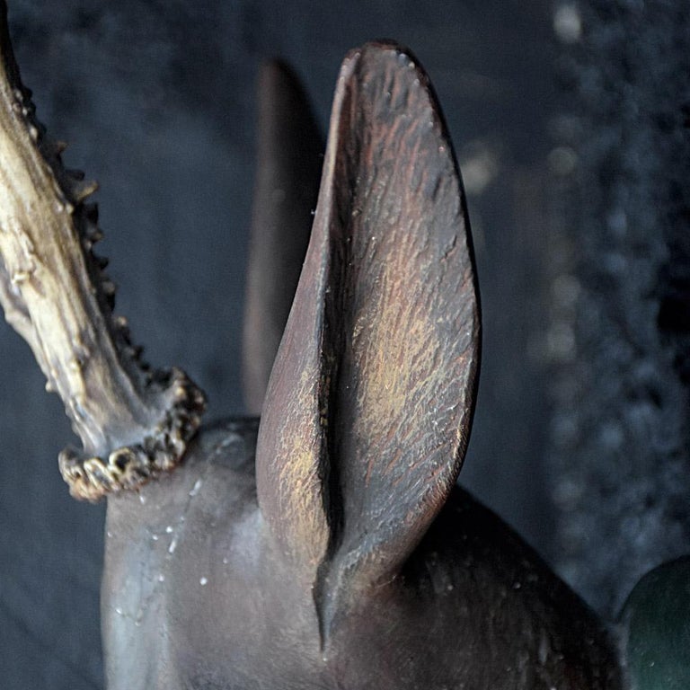 Carved Austrian Roe Deer Heads, circa 1880 at 1stDibs