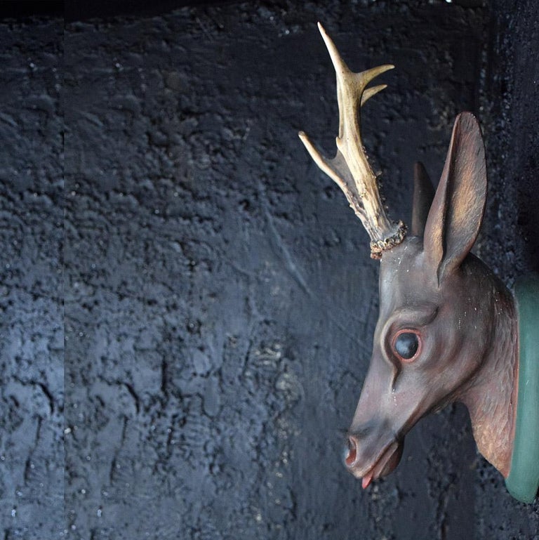 Carved Austrian Roe Deer Heads, circa 1880 at 1stDibs