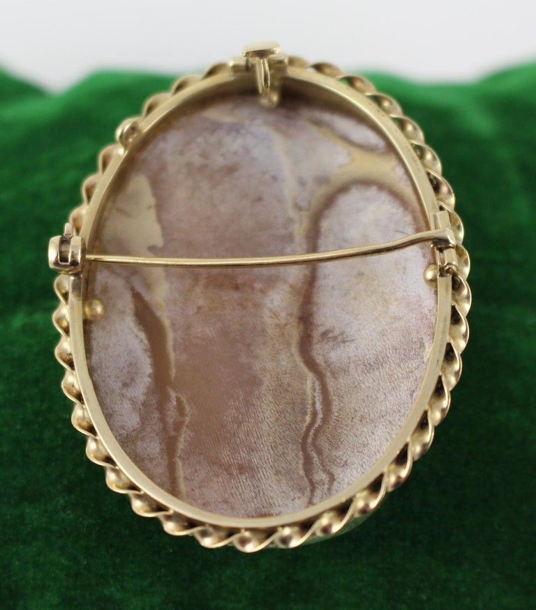Carved Cameo Relief Gold Set Brooch at 1stDibs