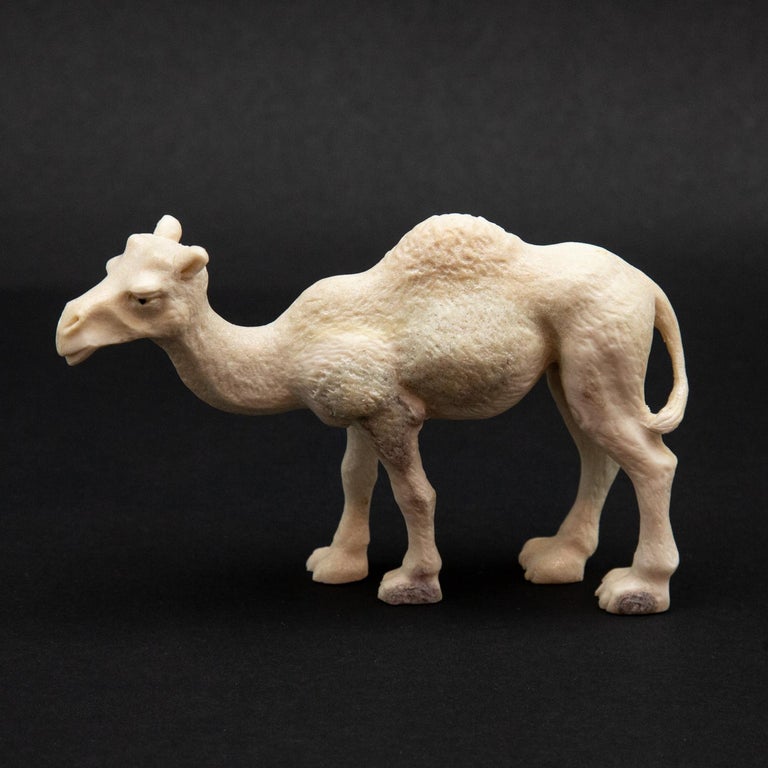 Carved Moose Antler Camel at 1stDibs