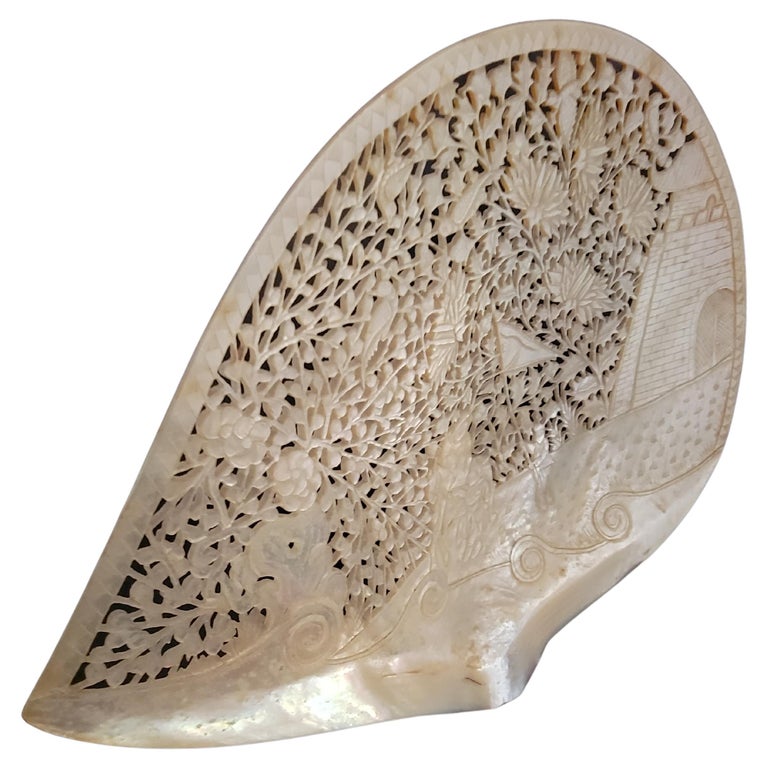 Carved Mother of Pearl Display Shell, Reticulated with Stand at 1stDibs