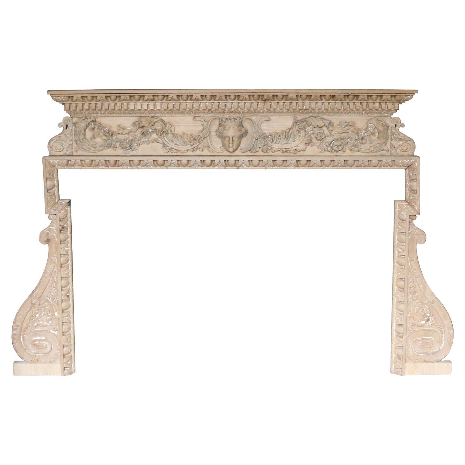 Blois Castle Chimneypiece at 1stDibs