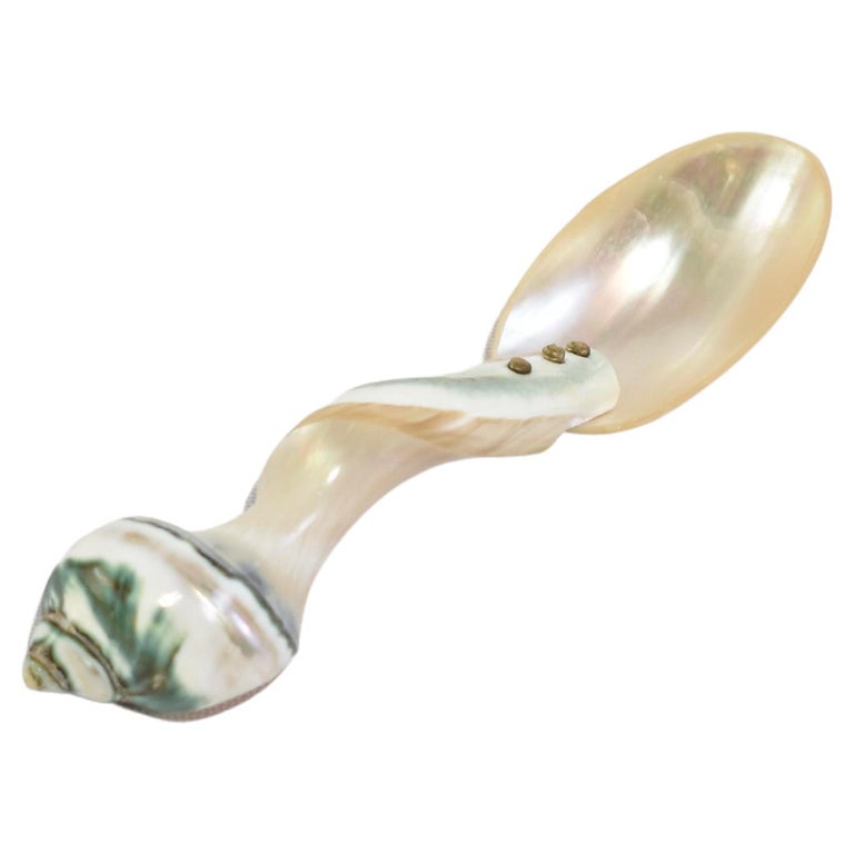 Carved Shell Spoon at 1stDibs
