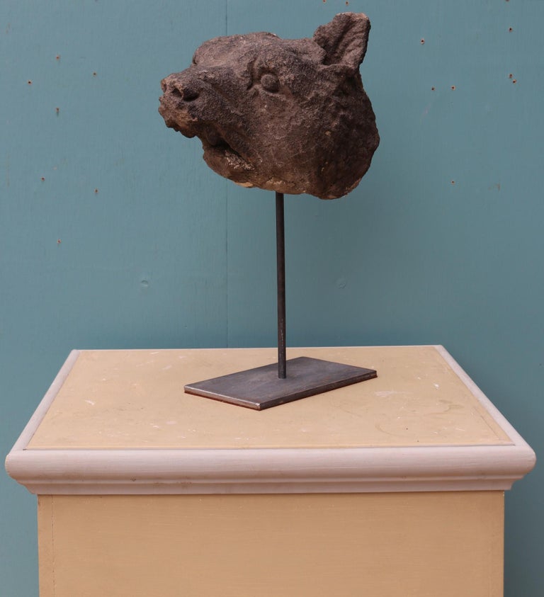 Carved Stone Antique Fox Head Sculpture For Sale at 1stDibs