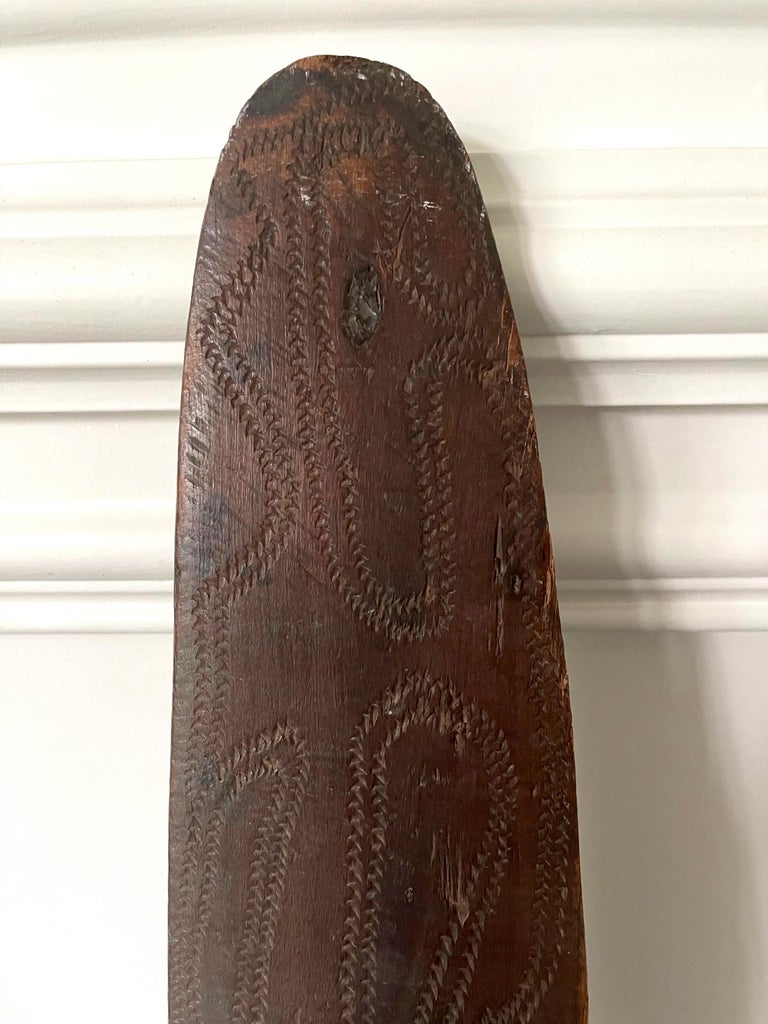 Carved Wood Aboriginal Shield, Western Australia For Sale at 1stDibs
