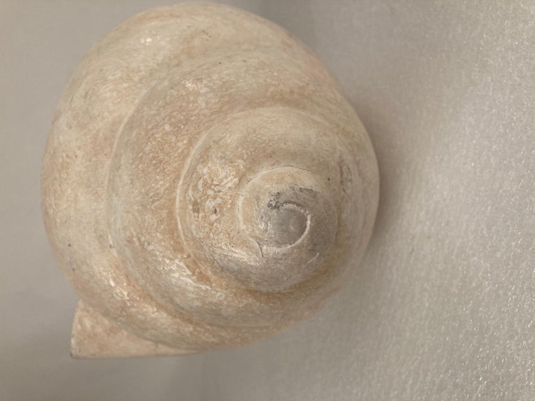 Mid Century Modern Italian Carved Wood Painted Sea Shell, Large Scale ...