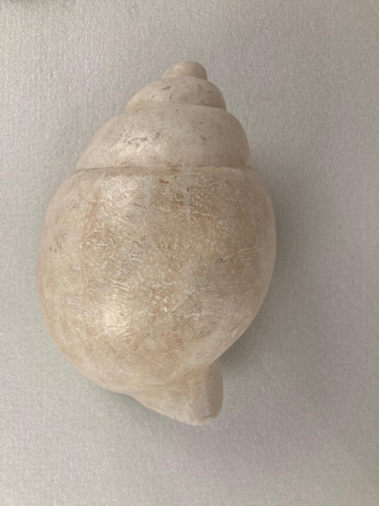 Mid Century Modern Italian Carved Wood Painted Sea Shell, Large Scale ...