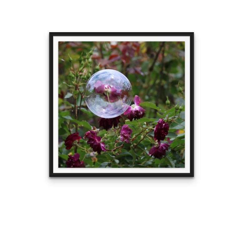 Cary Knight - Bubble 10, Wild Nature Inspired Square format Print ...