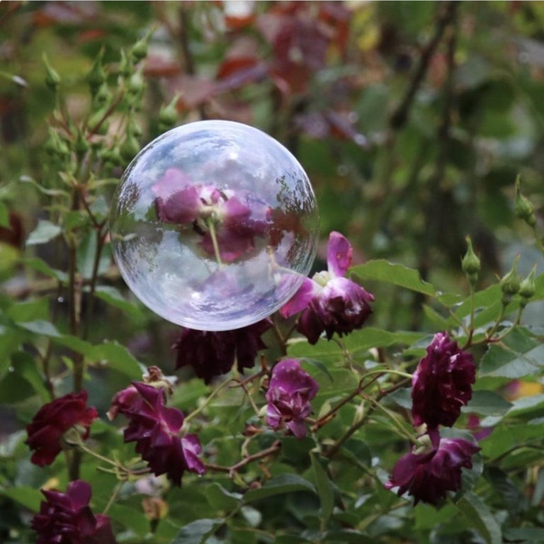 Cary Knight - Bubble 10, Wild Nature Inspired Square format Print ...