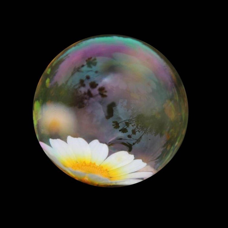Cary Knight - Bubble 4, Floral inspired Digital Print Edition on Paper ...