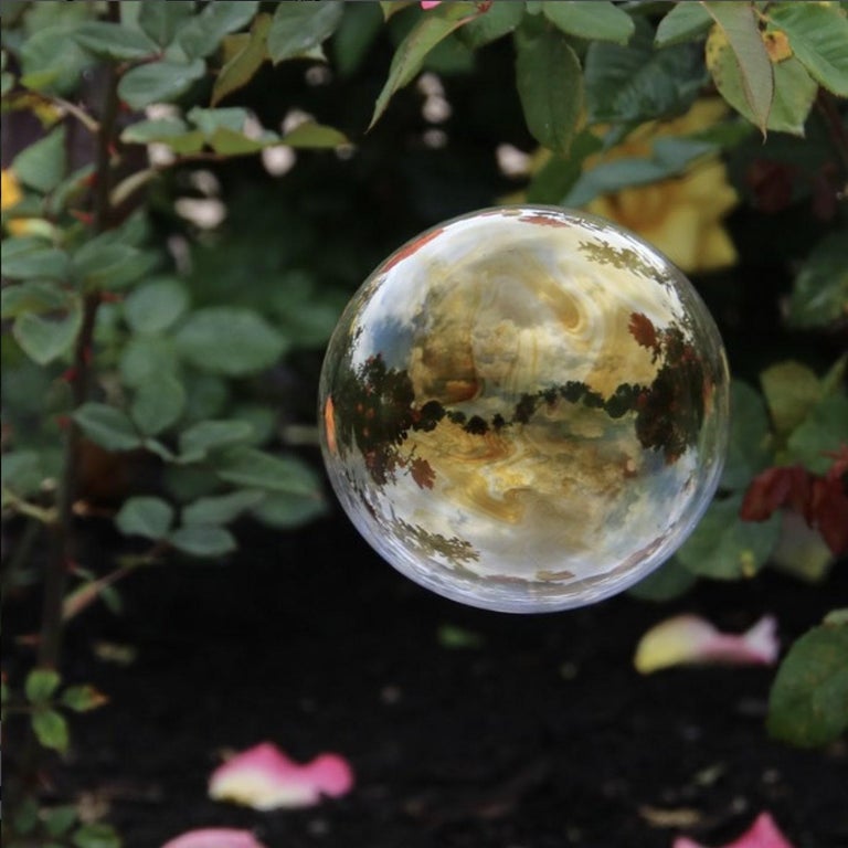 Cary Knight - Bubble 8, Digital Print Edition on Paper, Nature Inspired ...