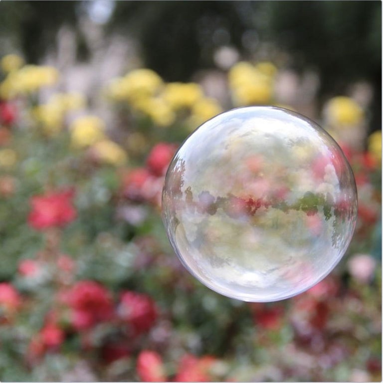 Cary Knight - Bubble 9, Digital Print Edition on Paper, Nature Inspired ...
