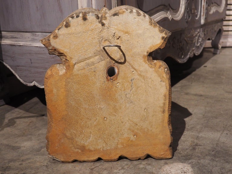 Cast Fountain Mask Element or Spout in Ochre Finish from France For ...