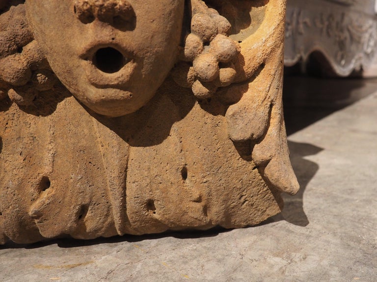 Cast Fountain Mask Element or Spout in Ochre Finish from France For ...