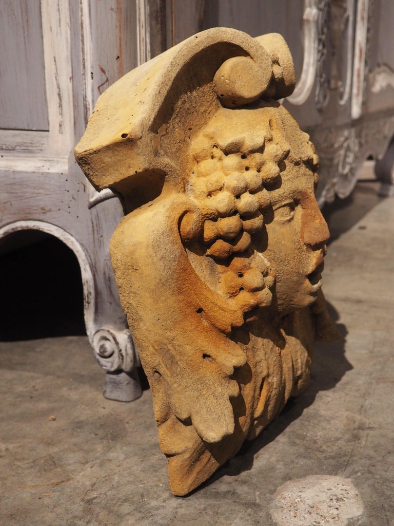 Cast Fountain Mask Element or Spout in Ochre Finish from France For ...