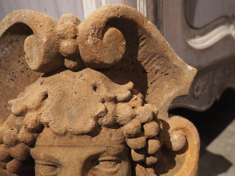 Cast Fountain Mask Element or Spout in Ochre Finish from France For ...