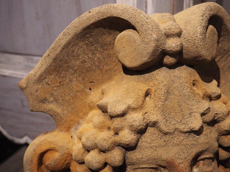 Cast Fountain Mask Element or Spout in Ochre Finish from France For ...