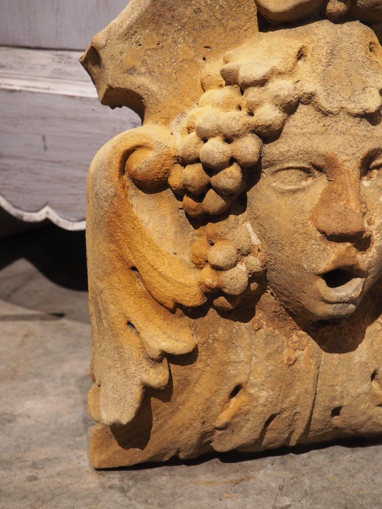 Cast Fountain Mask Element or Spout in Ochre Finish from France For ...