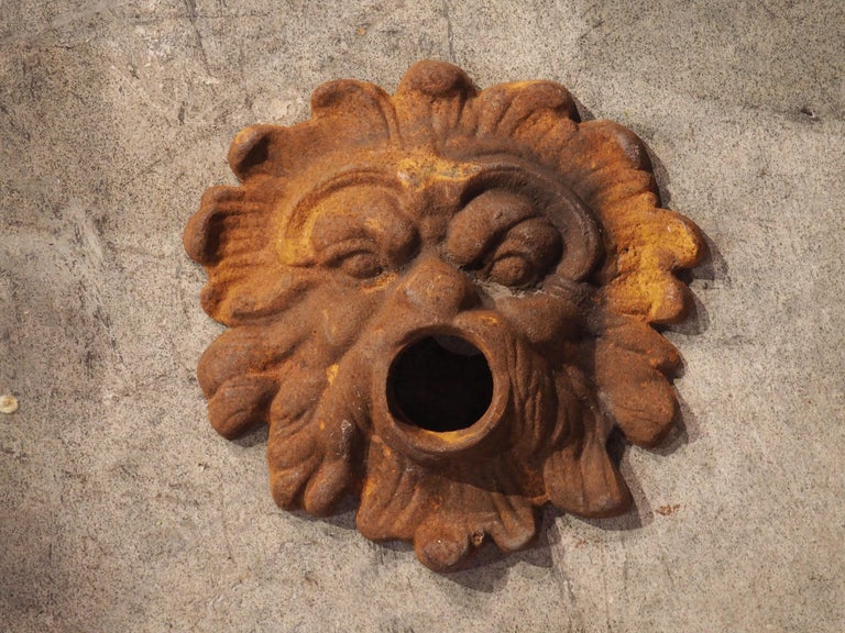 Cast Iron Fountain Spout with Mascaron Backplate, France, 20th Century ...