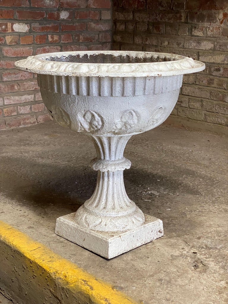 Cast Iron Late Victorian Planter For Sale at 1stDibs