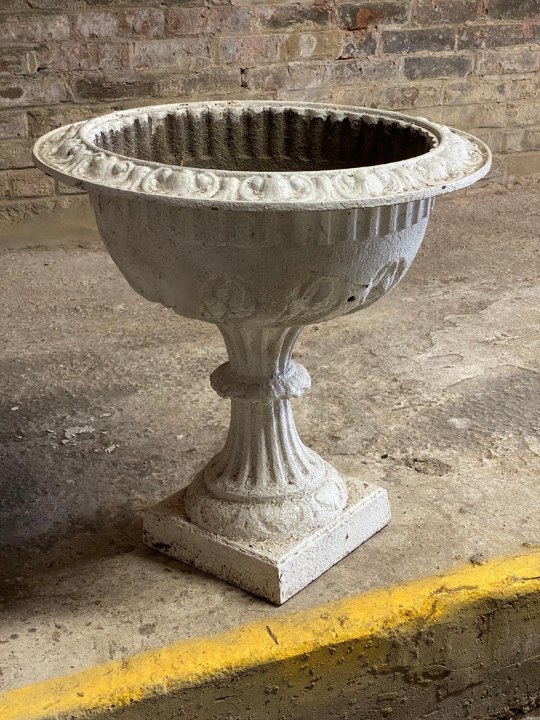 Cast Iron Late Victorian Planter For Sale at 1stDibs