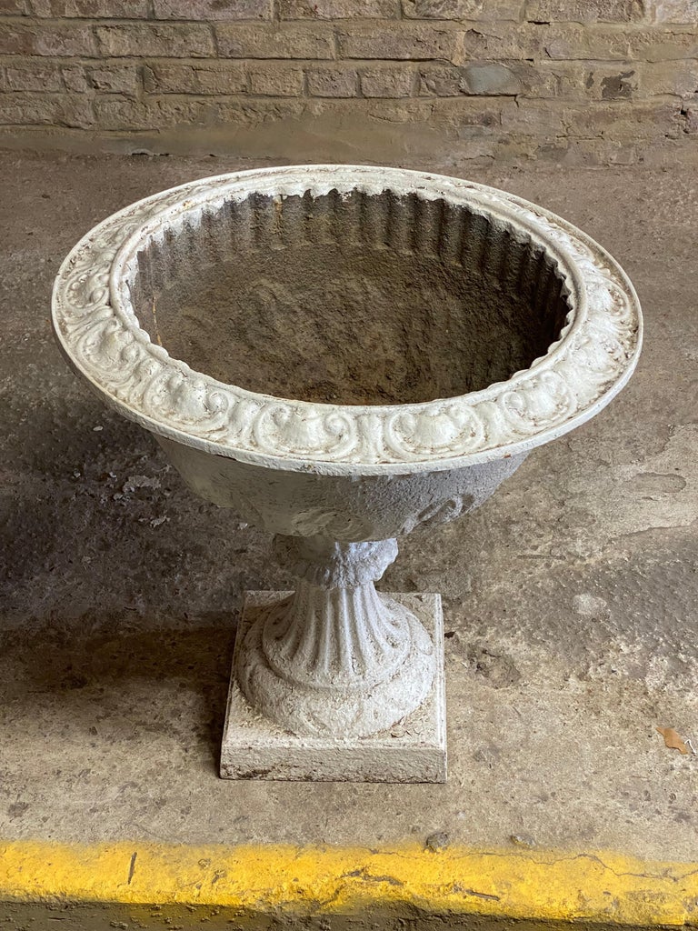 Cast Iron Late Victorian Planter For Sale at 1stDibs