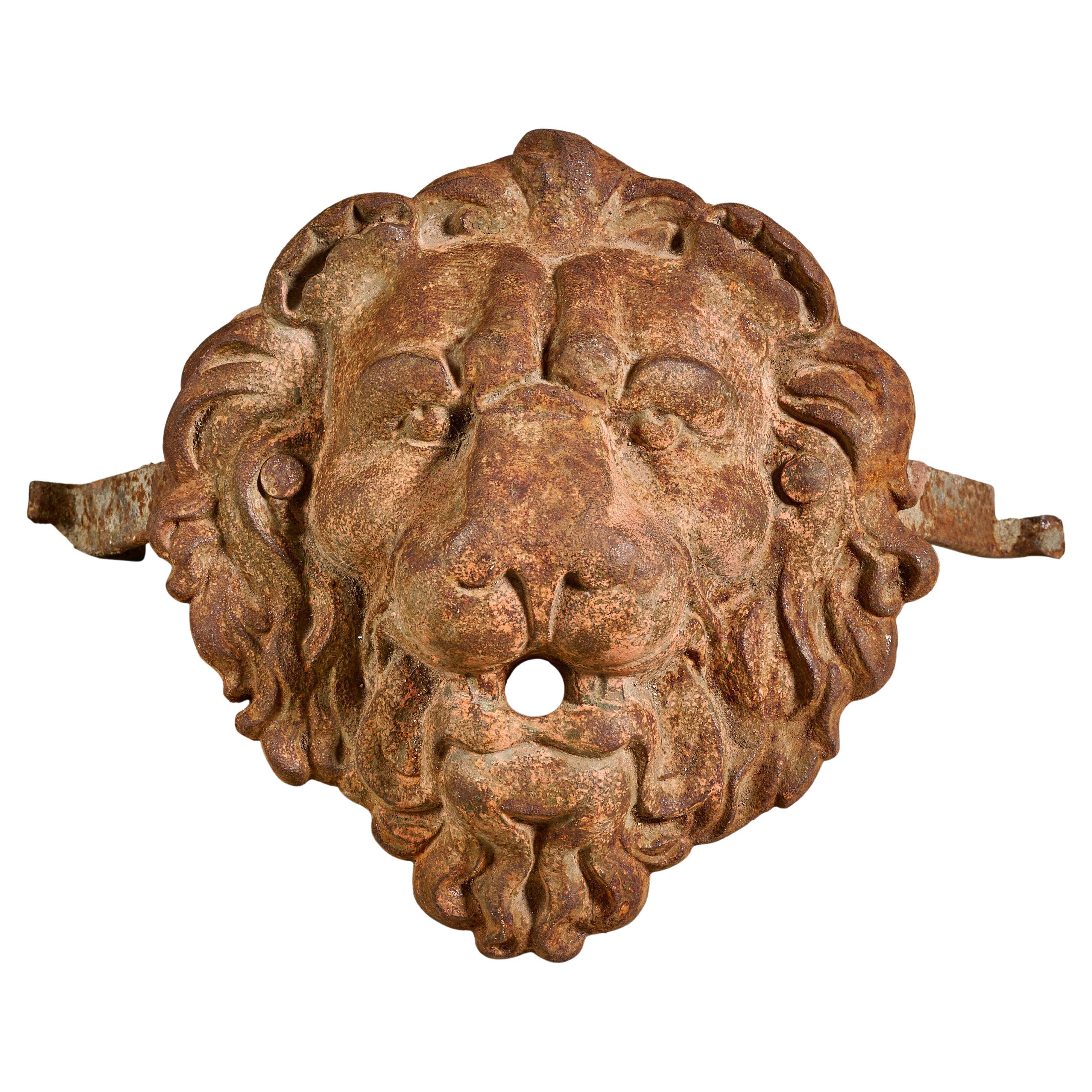 Cast Iron Frog Fountain Head at 1stDibs