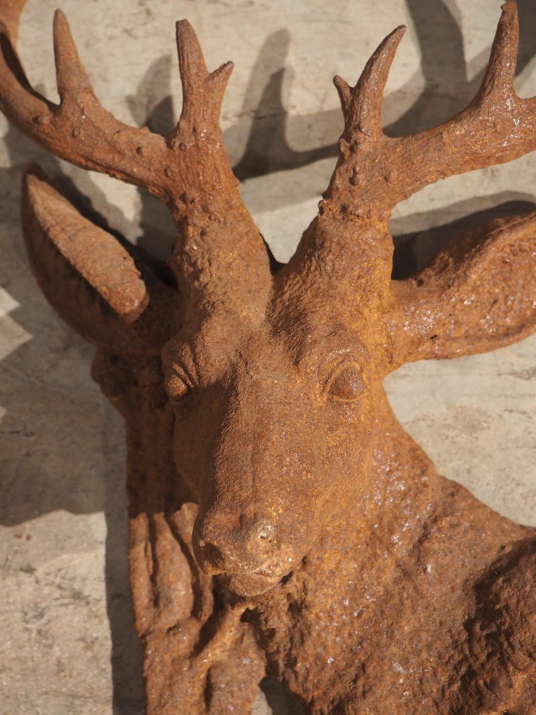 Cast Iron Stag Wall Hanging from France, 20th Century at 1stDibs