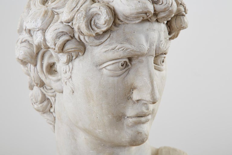 Cast Stone Bust of Michael Angelo's David at 1stDibs | bespoke cast ...