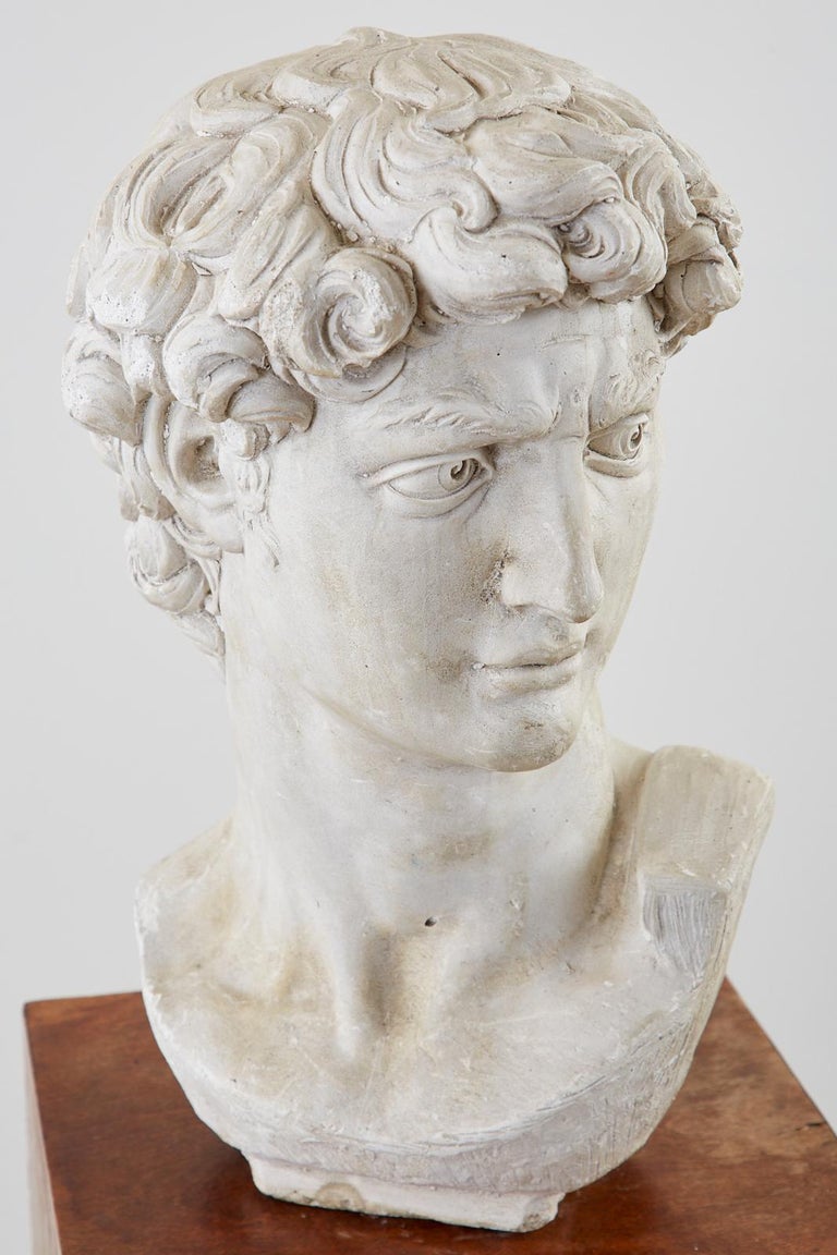 Cast Stone Bust of Michael Angelo's David at 1stDibs