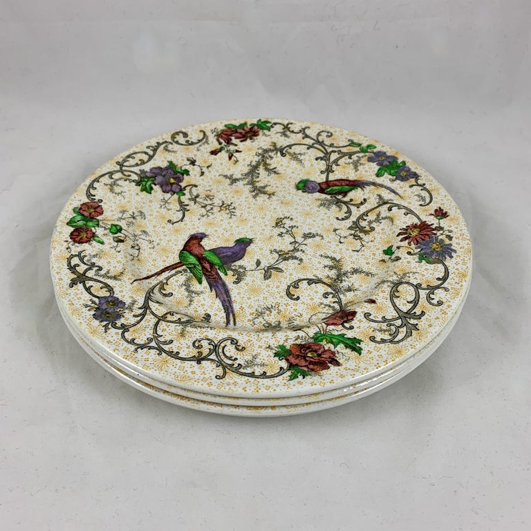 Cauldon English Chinoiserie 'Bird of Paradise' Chintz Transferware ...