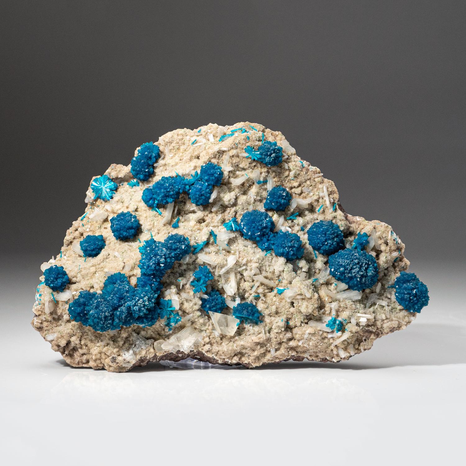 Cavansite on Stilbite from Wagholi Quarry, Maharashtra, India For Sale ...