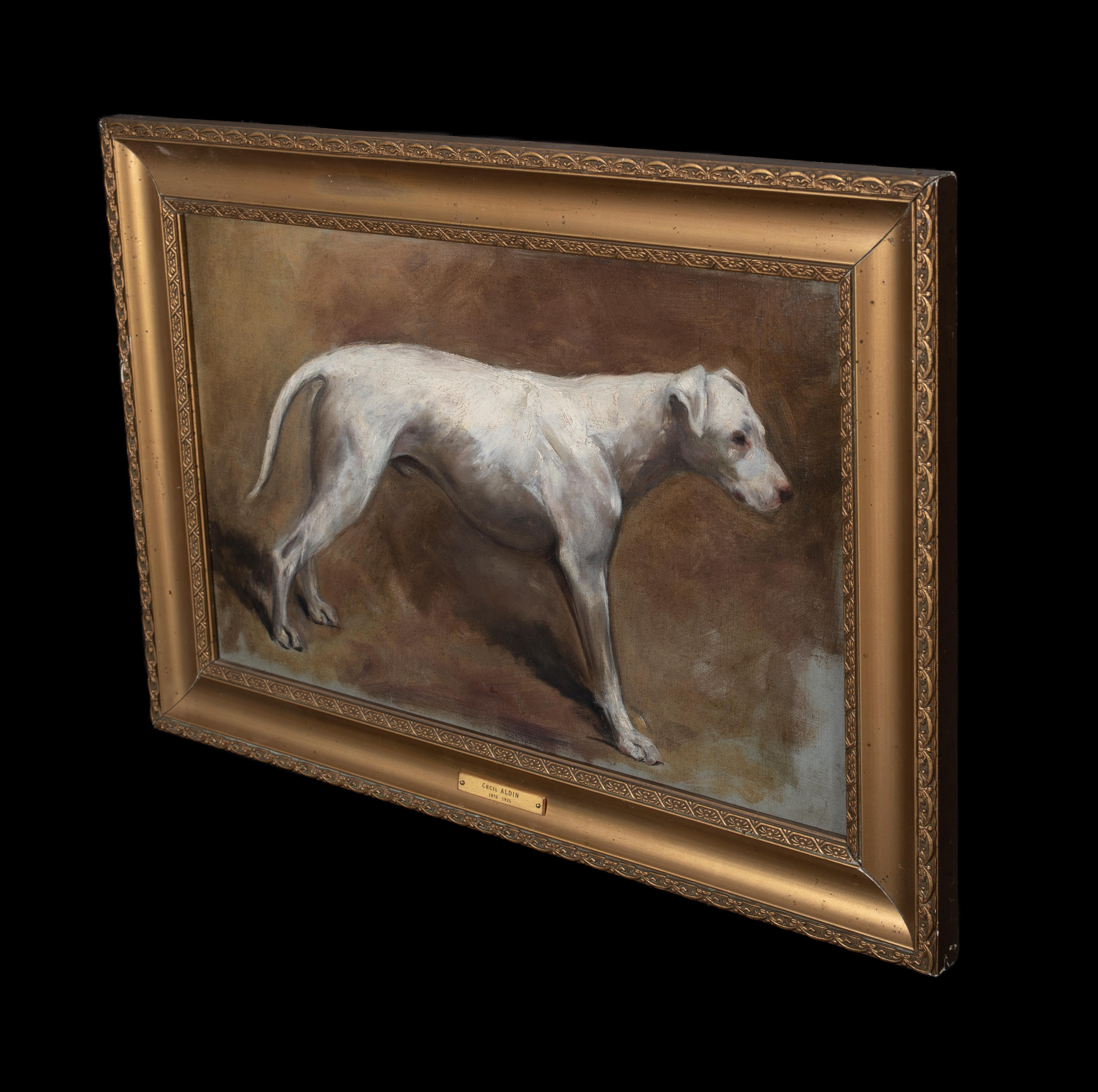 Cecil Charles Windsor Aldin, R.B.A. - Portrait Of A Mastiff, 19th ...