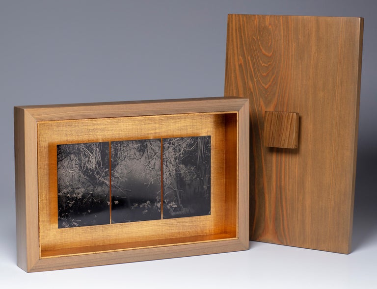 Cecilia Montalvo & Charlie McCullers - At Old Augusta Road - wet plate ...