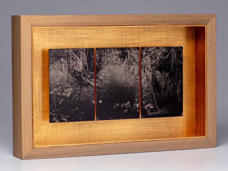 Cecilia Montalvo & Charlie McCullers - At Old Augusta Road - wet plate ...