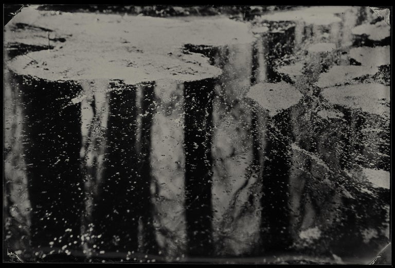 Cecilia Montalvo & Charlie McCullers - Mirror World - wet plate ...
