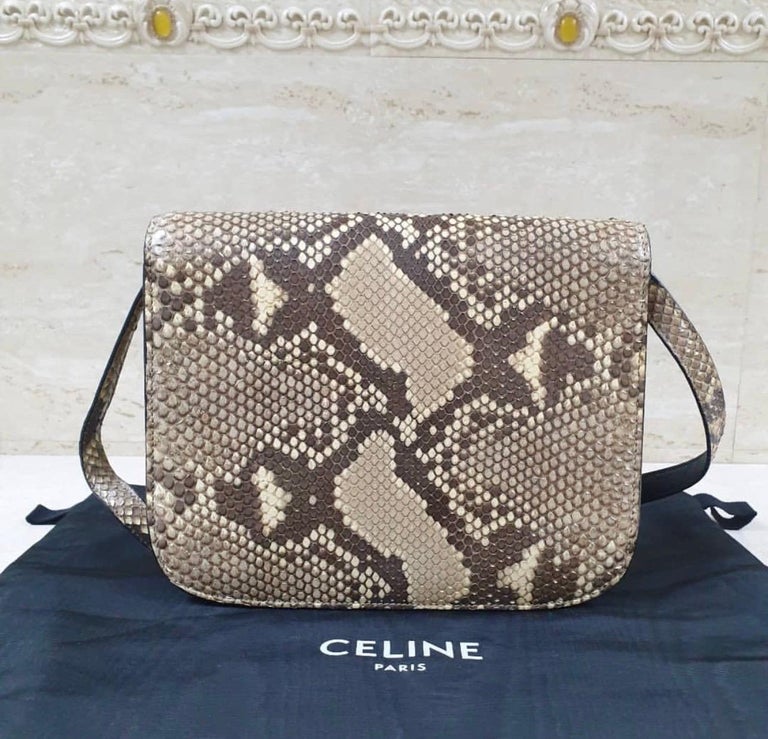 Celine Box Python Large Bag For Sale at 1stDibs
