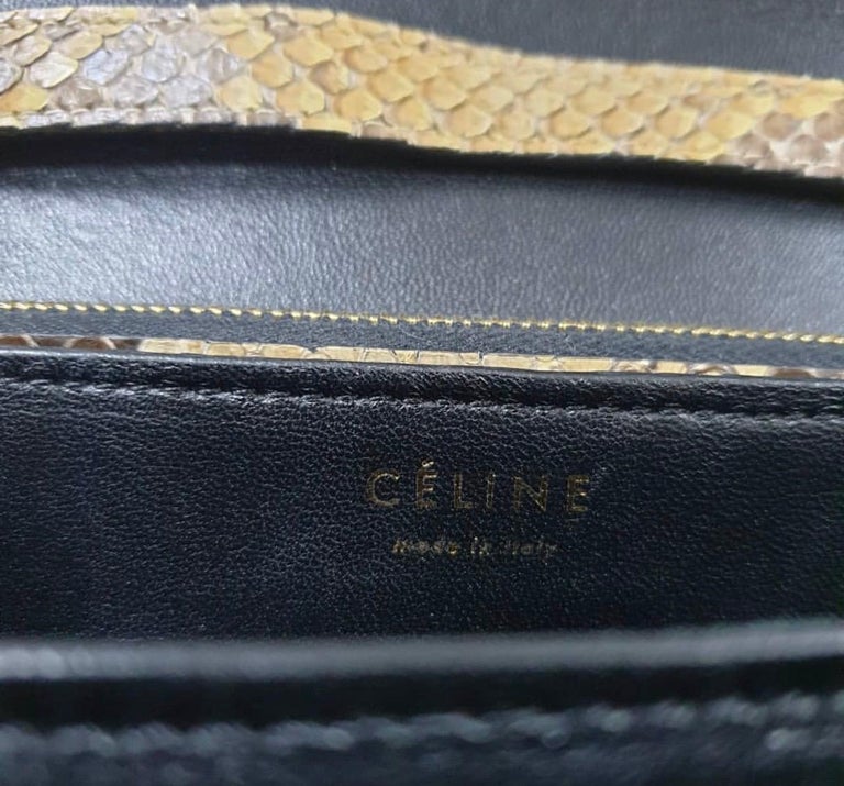 Celine Box Python Large Bag For Sale at 1stDibs