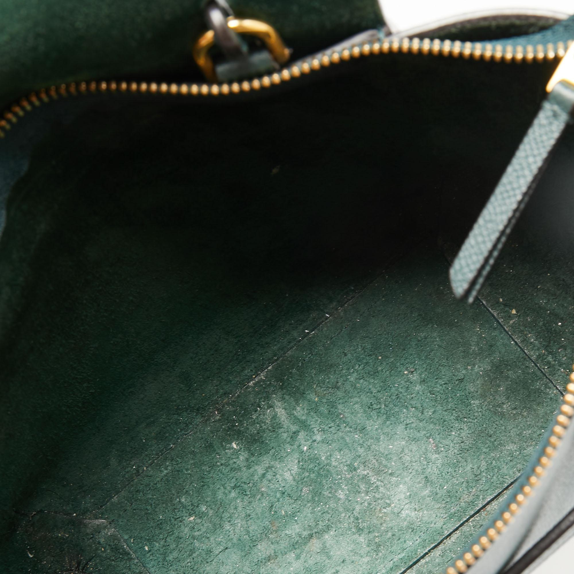 Celine Green Grained Leather Nano Belt Top Handle Bag at 1stDibs ...