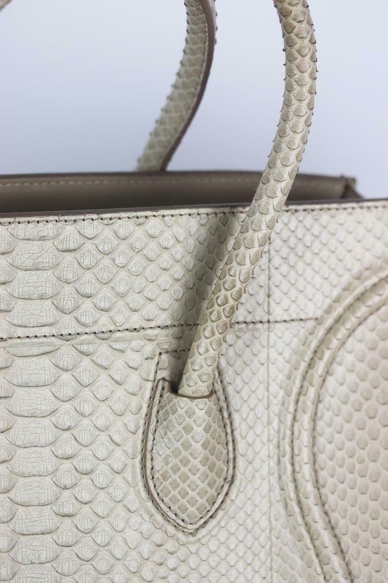 Celine Medium Python Phantom Luggage Tote Bag For Sale at 1stDibs