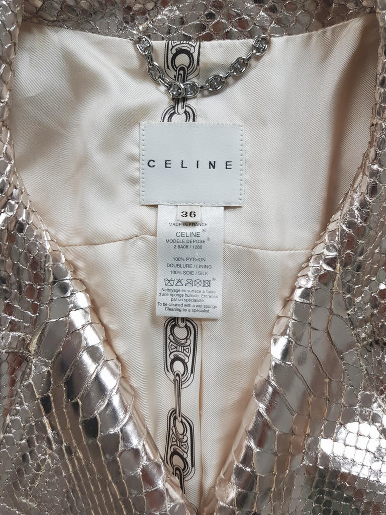 CÉLINE SS 2007 runway silver python Trench Coat at 1stDibs