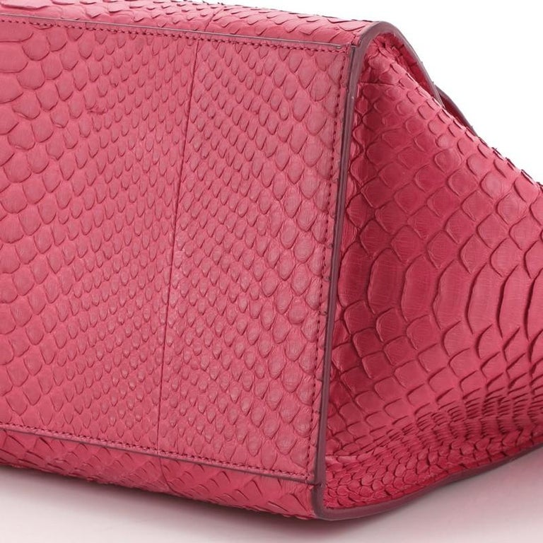 Celine Trapeze Bag Python Medium at 1stDibs