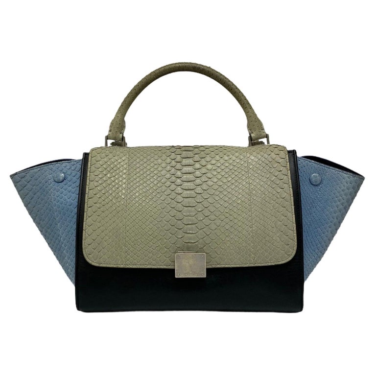 Celine Trapeze Python Handbag in Blue, Gray and Black Colors For Sale ...