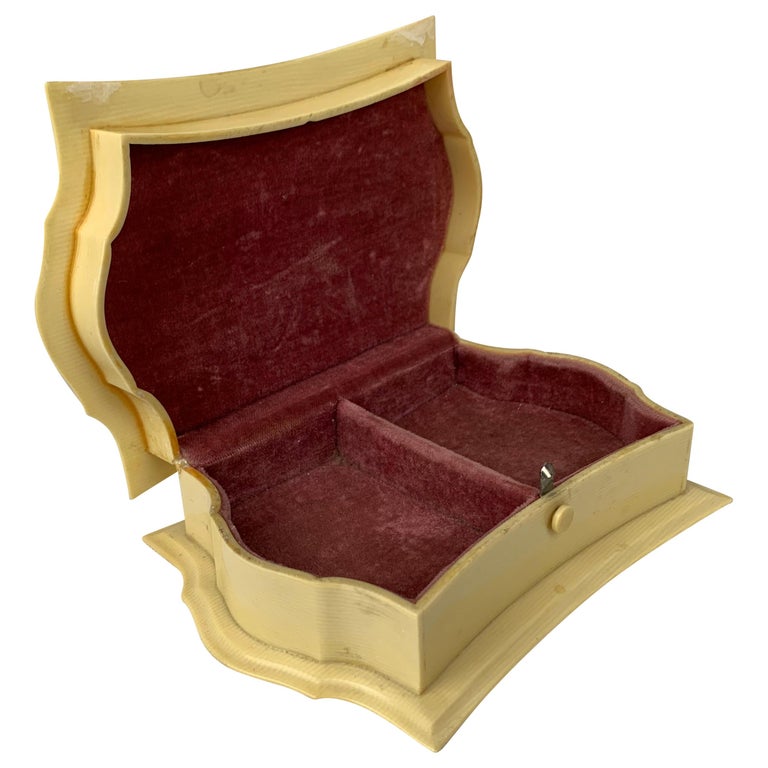 DuBarry Ivorine Celluloid Jewelry Box with a Turtle Shaped Top For Sale ...