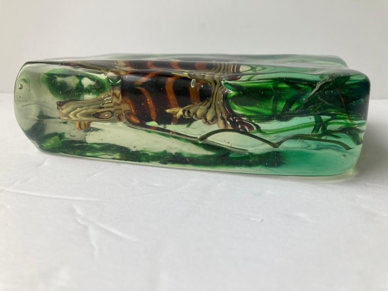 Cenedese Aquarium /Fish Tank Murano Glass, Sculpture/Paperweight Attr ...