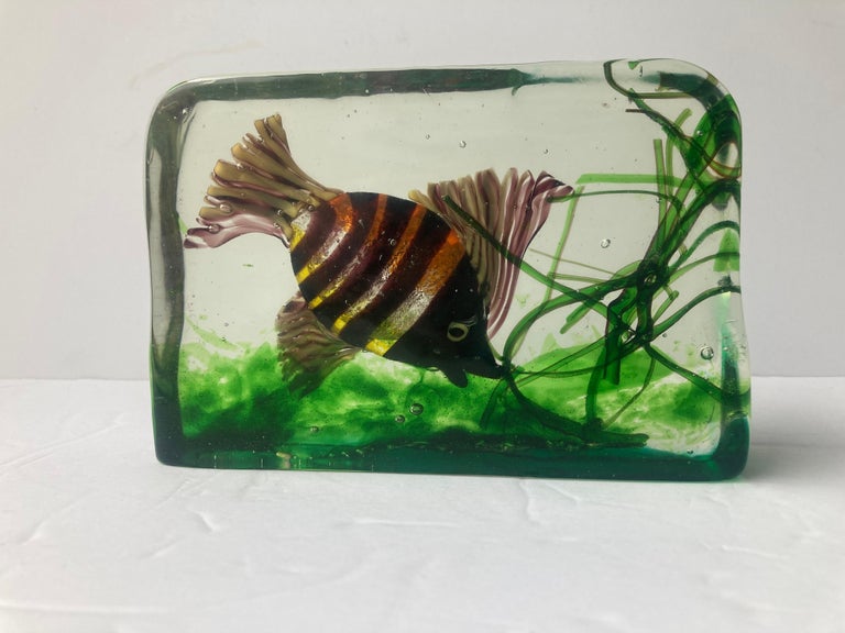 Cenedese Aquarium /Fish Tank Murano Glass, Sculpture/Paperweight Attr ...